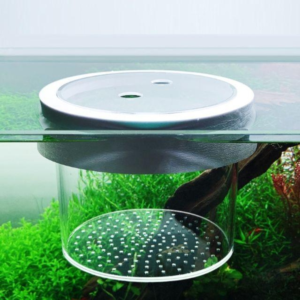 [1300k] 부상식 고품질 아크릴 격리식 치어사육통- 이랜드몰