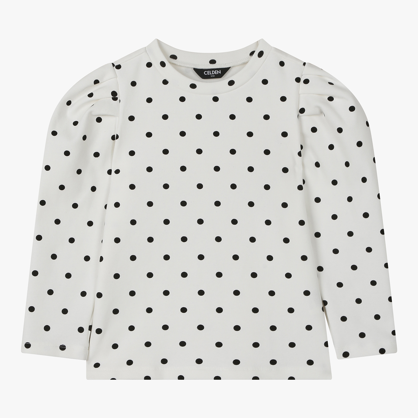 셀덴 CELDEN | 이랜드몰 추천 브랜드