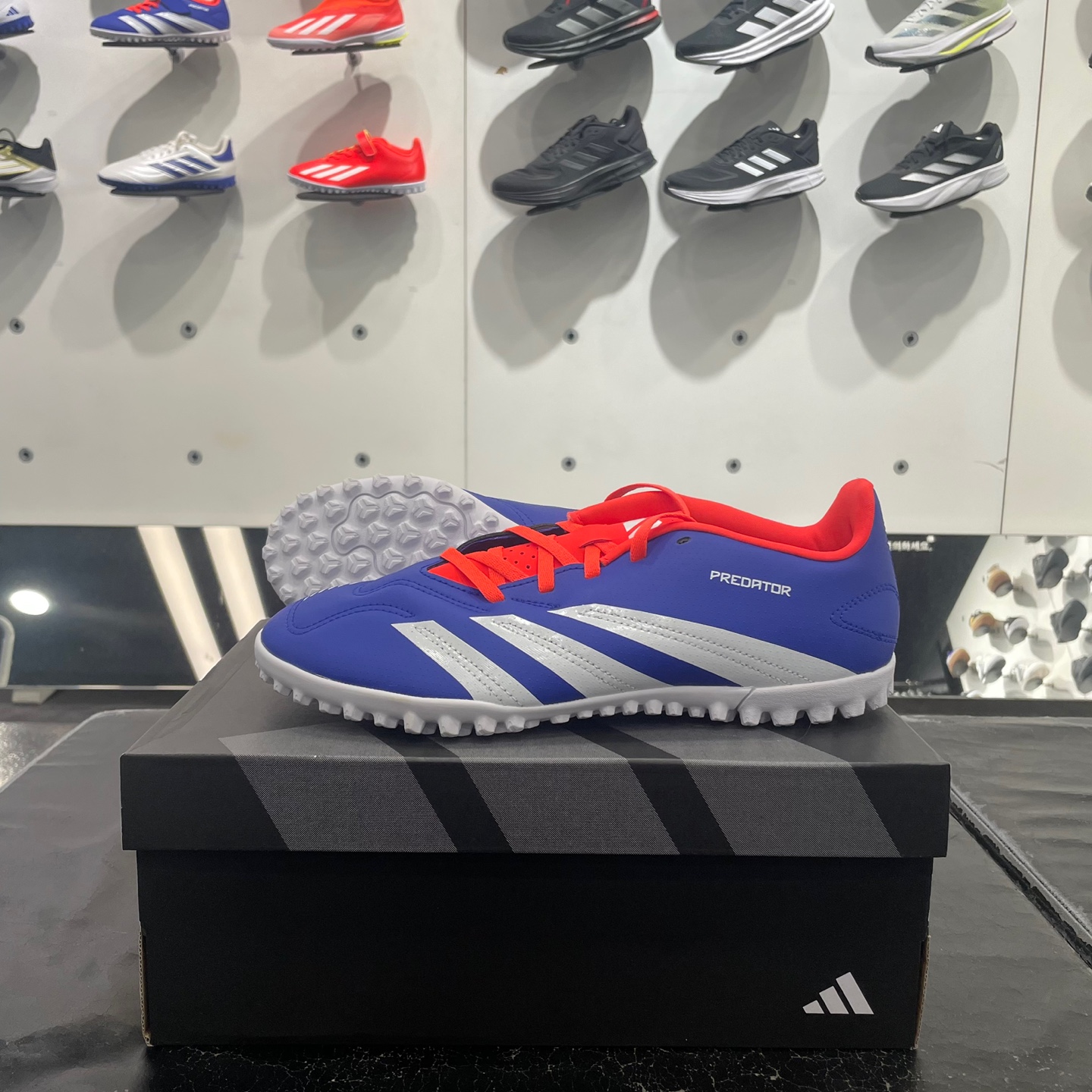 NC백화점 | 이랜드 공식 온라인 패션스토어