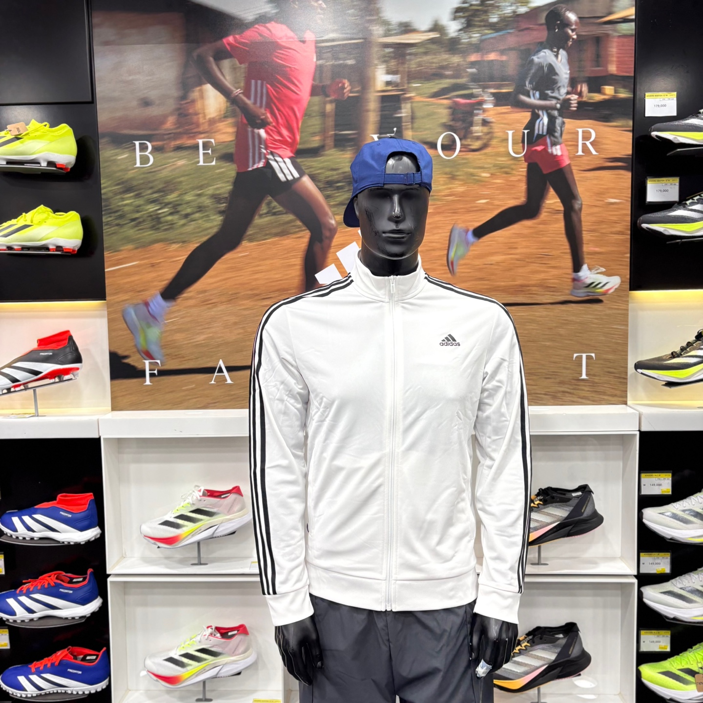 NC백화점 | 이랜드 공식 온라인 패션스토어