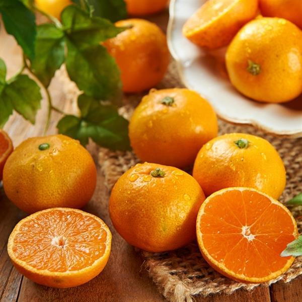 [고랑몰라] 하우스 감귤 5kg(2S)- 이랜드몰