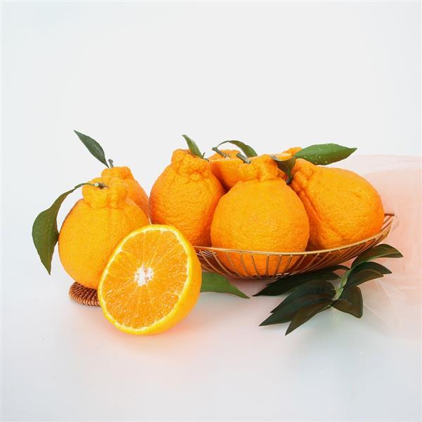 [고랑몰라] 한라봉 3kg(8-10과)- 이랜드몰