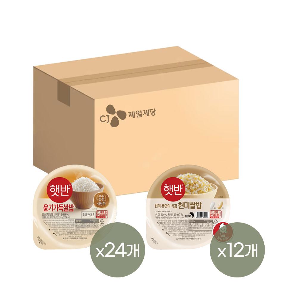 햇반 윤기가득 쌀밥 210g x24개+현미쌀밥 210g x12개- 이랜드몰