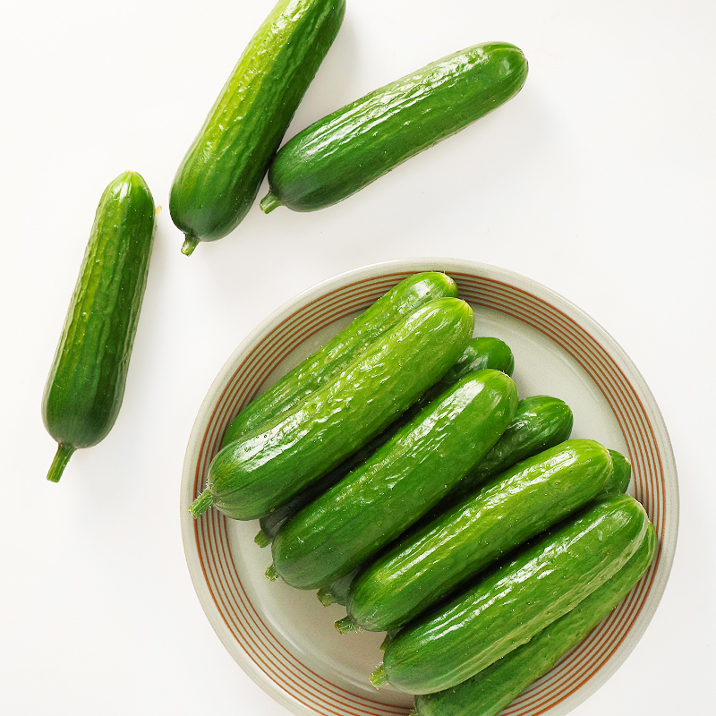 아삭하고 부드러운 미니오이 2kg GAP인증- 이랜드몰