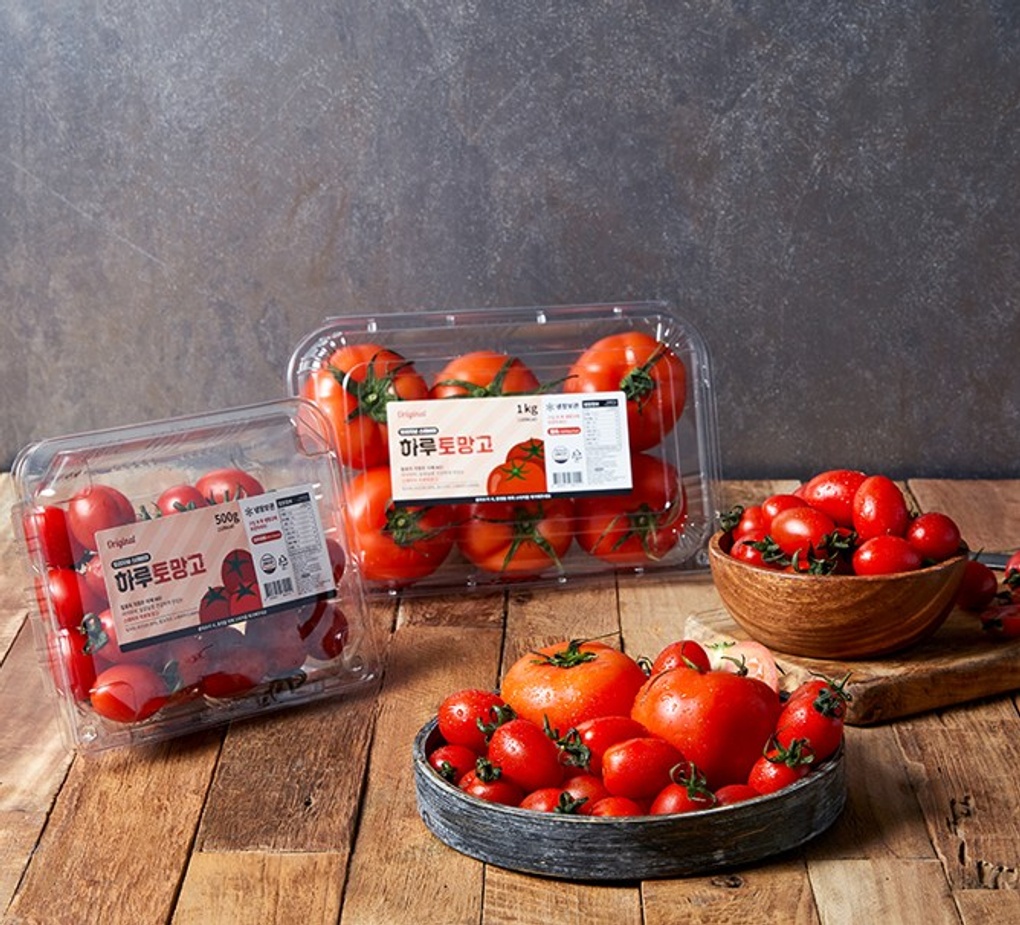 GAP 하루 토망고 완숙 1kg x 2팩- 이랜드몰