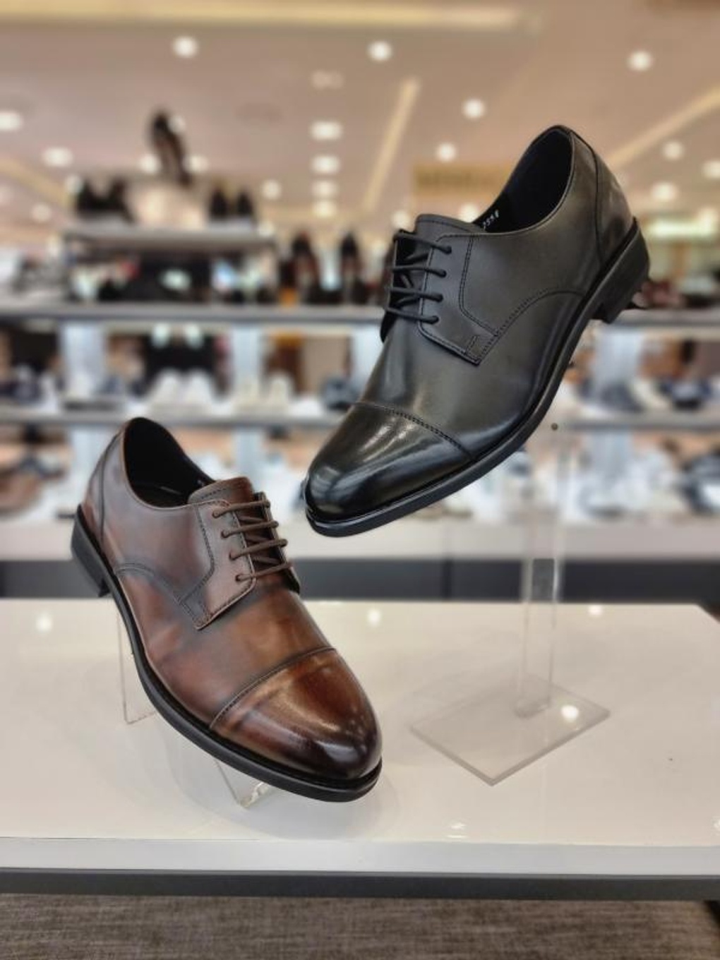 [미셸by탠디] 3cm굽 스트레이트팁 남성 기본구두(319035)- 이랜드몰