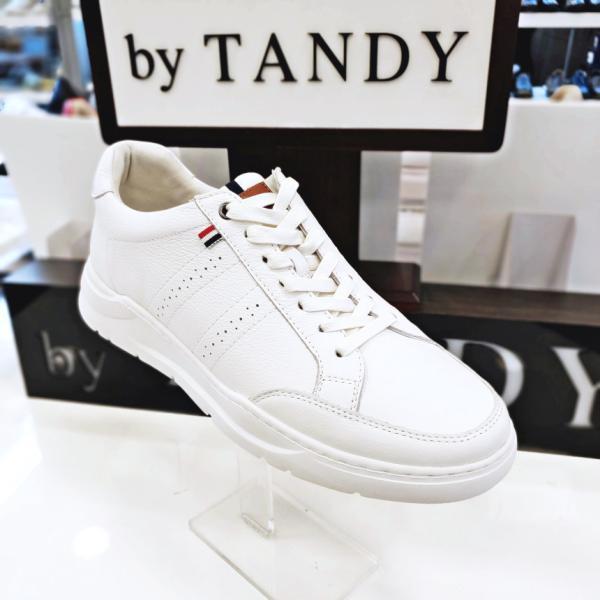 탠디 TANDY | 이랜드몰 추천 브랜드